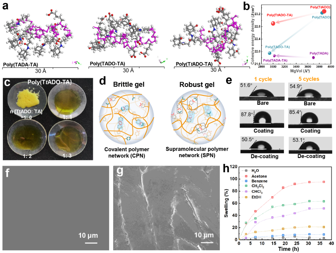 四川大学张军华教授团队 CEJ：基于动态共价自适应网络和非共价氢键调控实现具有动态特性的强超分子粘合剂 -湖北工业大学-轻工材料湖北省重点实验室